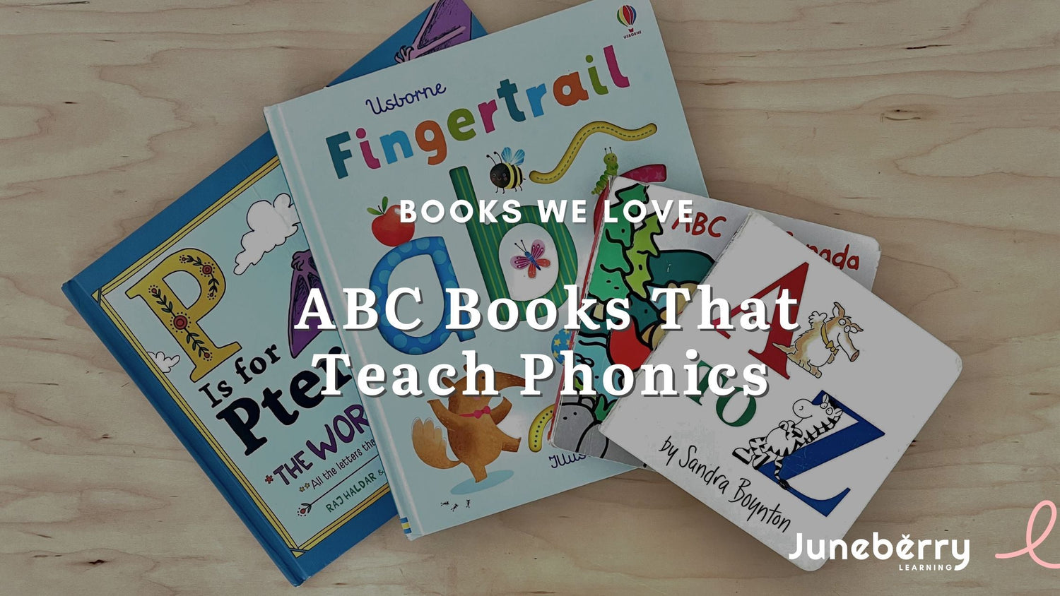 The Best Alphabet Books to Teach your Toddler Their ABCs – Juneberry ...
